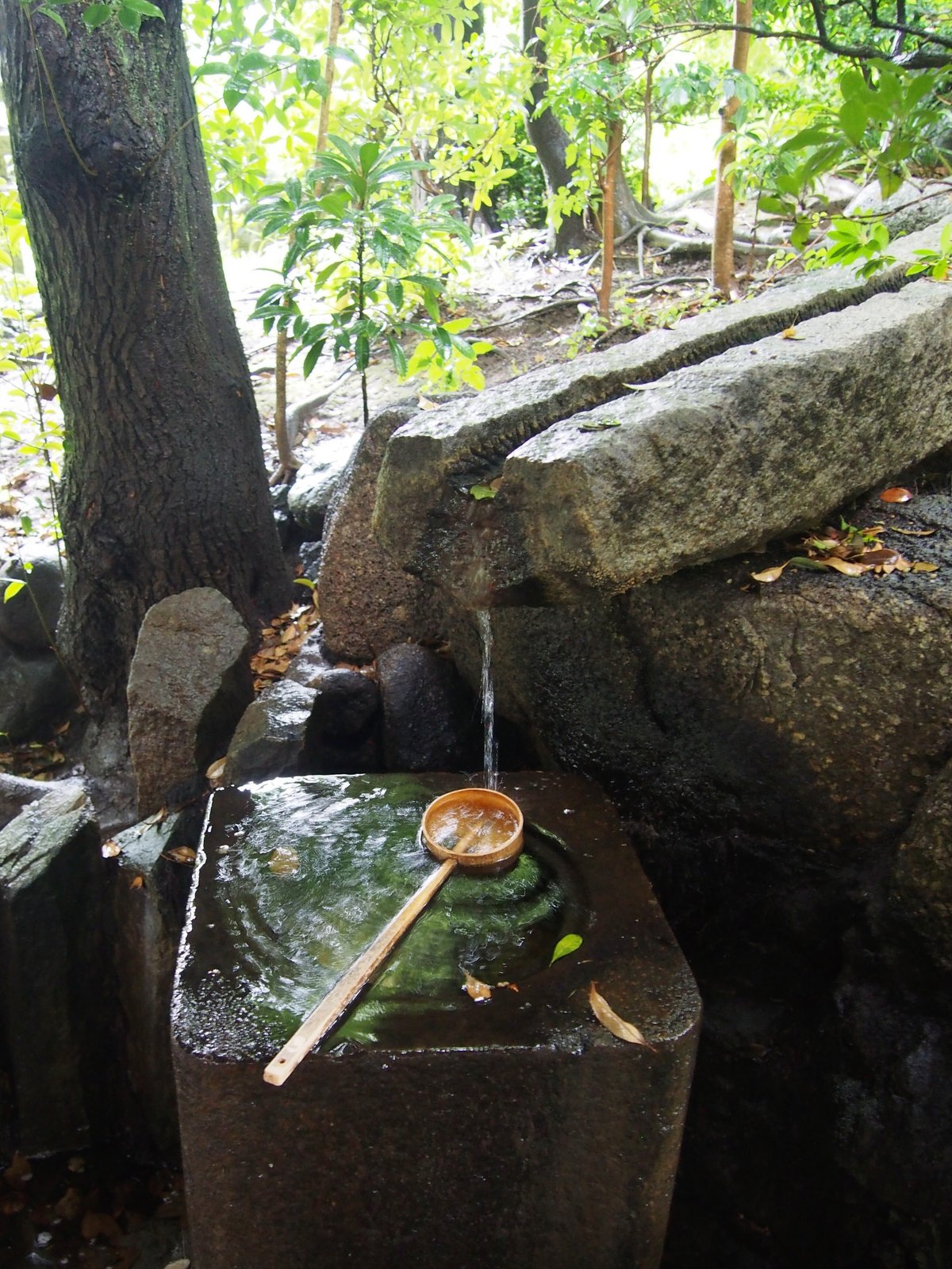 雨の日に楽しみたい、葛飾柴又の2庭園。｜niwa_emon