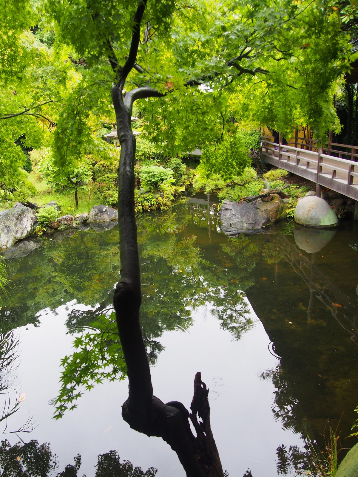 雨の日に楽しみたい、葛飾柴又の2庭園。｜niwa_emon