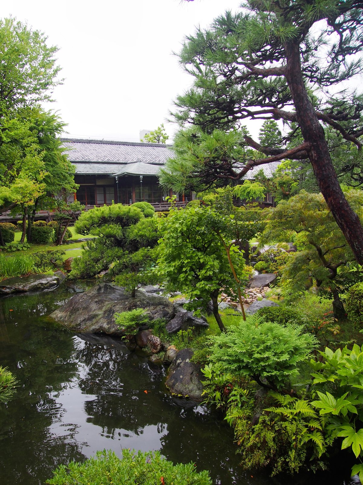 雨の日に楽しみたい、葛飾柴又の2庭園。｜niwa_emon