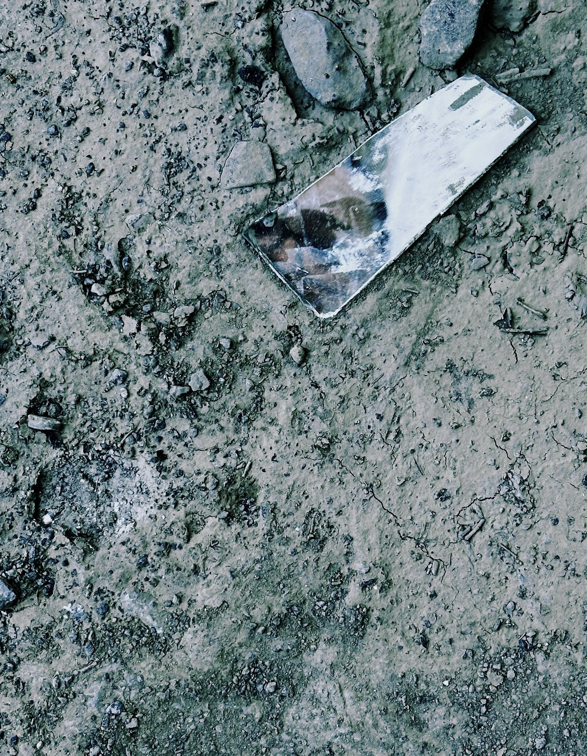 ”カメラ”が必要だった科目と出席してきました｜Arisa Mitsui