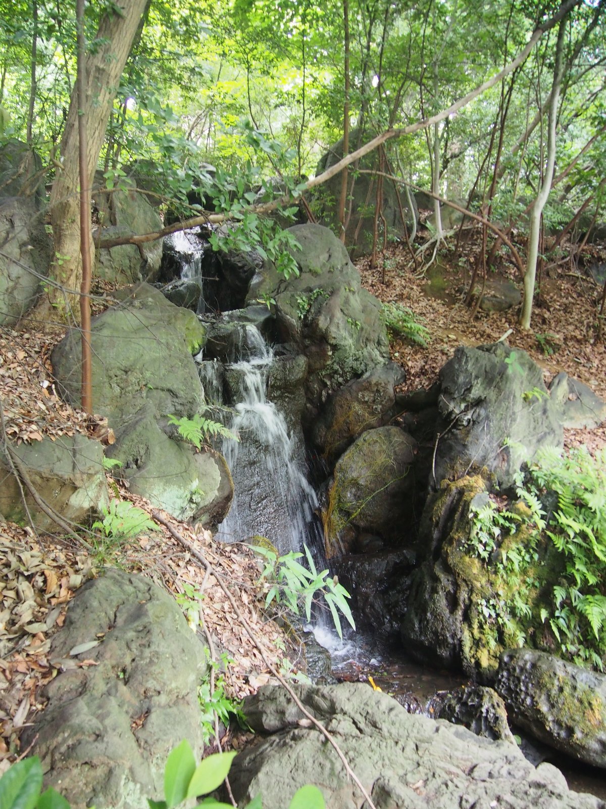 江戸時代の大庭園の遺構。三四郎池で思いを馳せる。｜niwa_emon