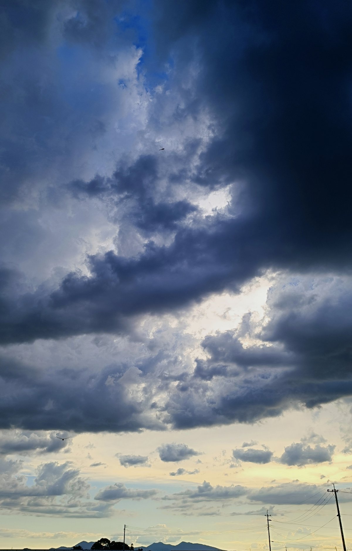 夕暮れ、いろいろ｜sora_purecolor