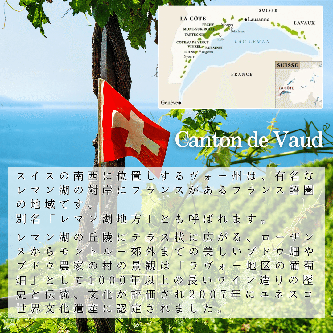 Cave de la Côte カーヴ ド ラ コート｜AlcotradeTrust