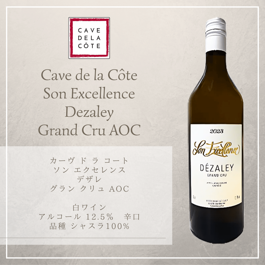 Cave de la Côte カーヴ ド ラ コート｜AlcotradeTrust