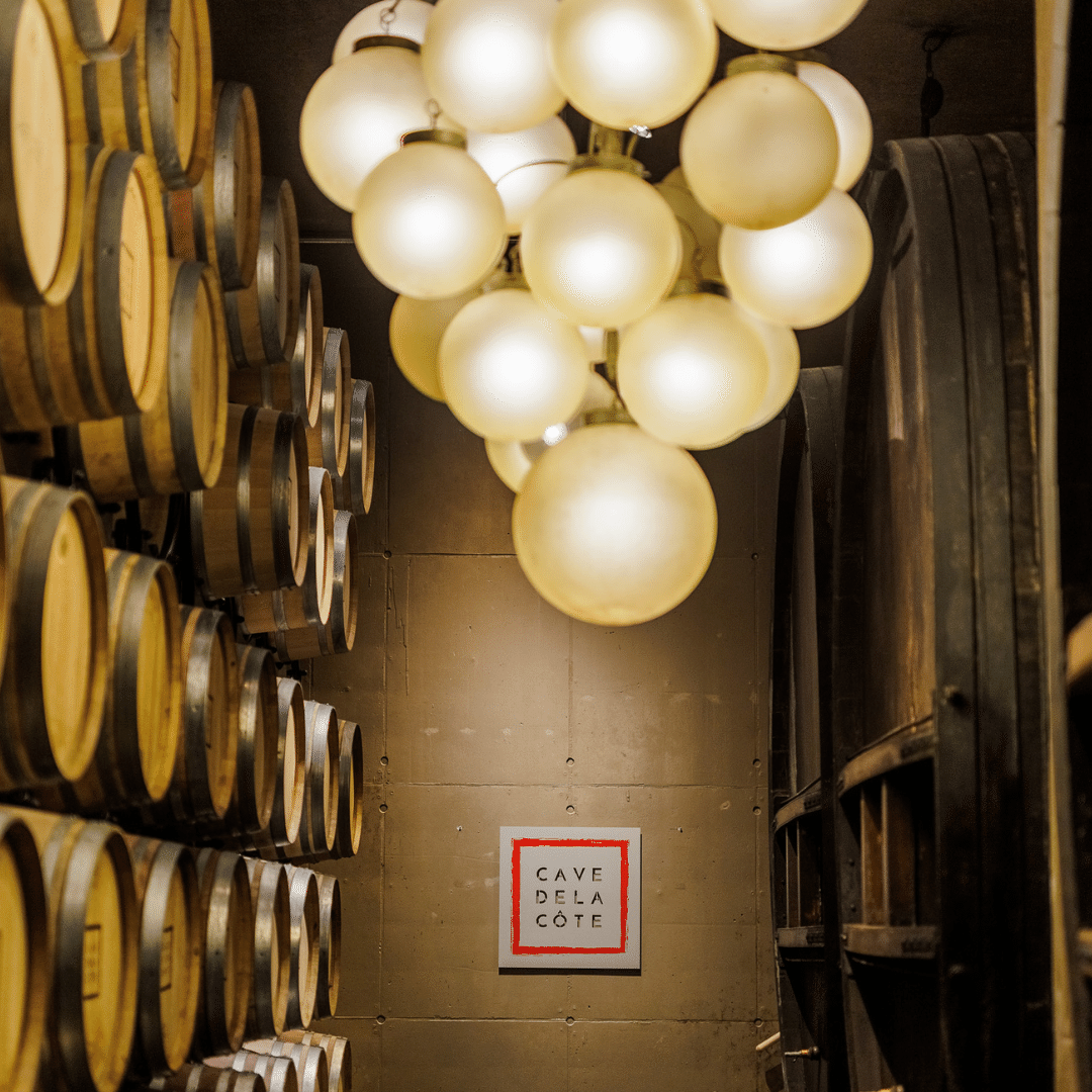 Cave de la Côte カーヴ ド ラ コート｜AlcotradeTrust