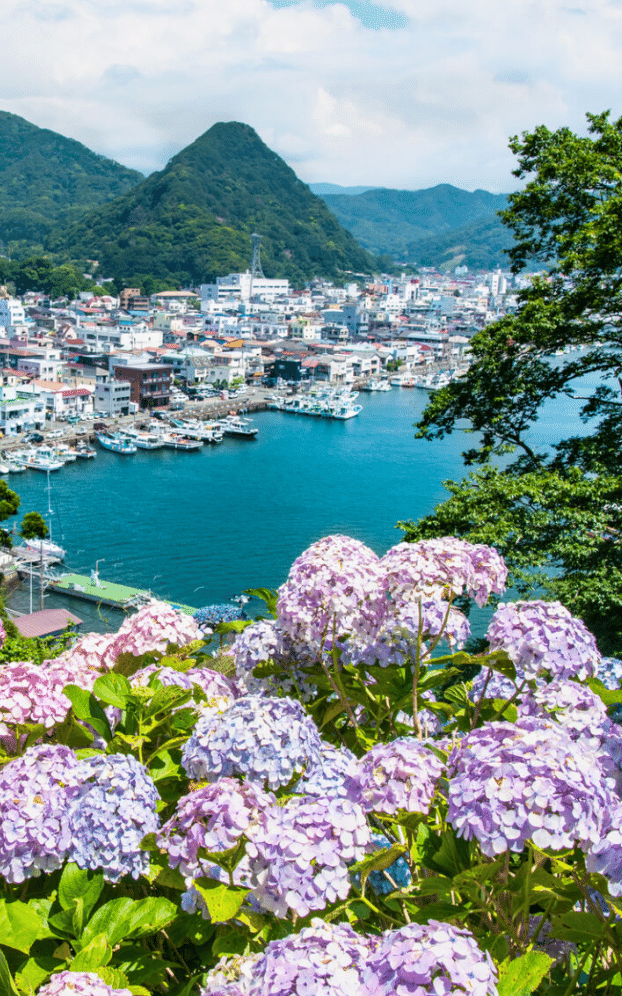 風待つな、わたしだー私がノマドライフを始めた理由｜chisaki__s2