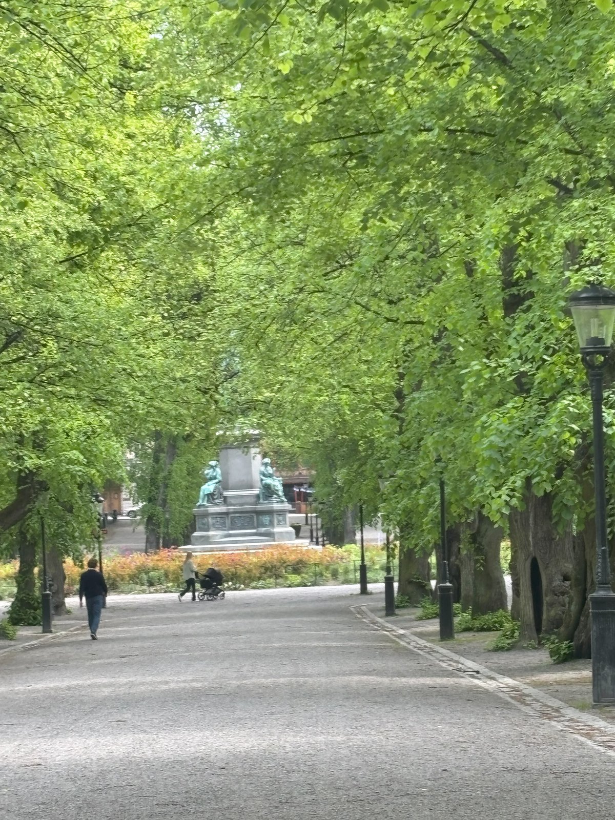 スウェーデン国立図書館とエステルマルム市場｜tatu-kuu（車いすおばあちゃん）