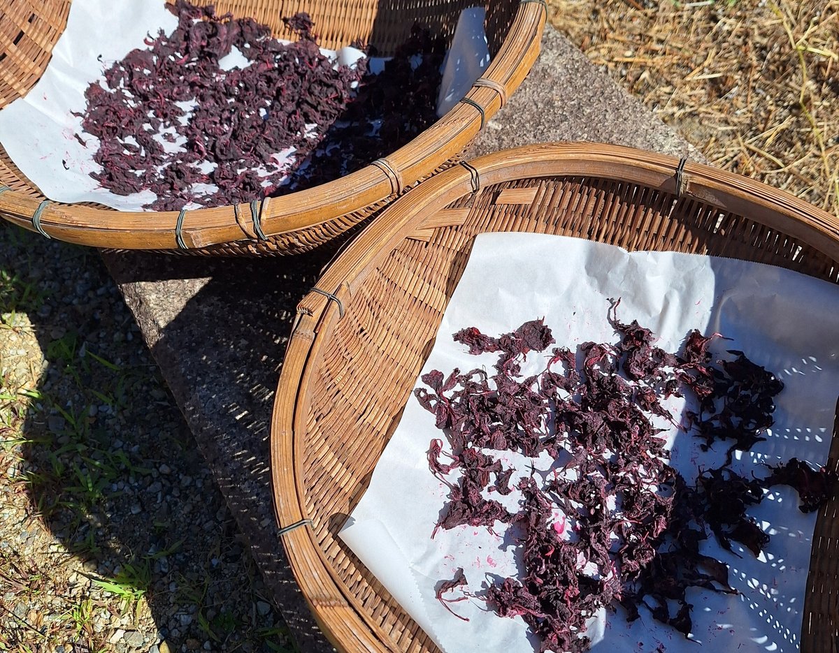 ゆかり作り｜ゆい兎