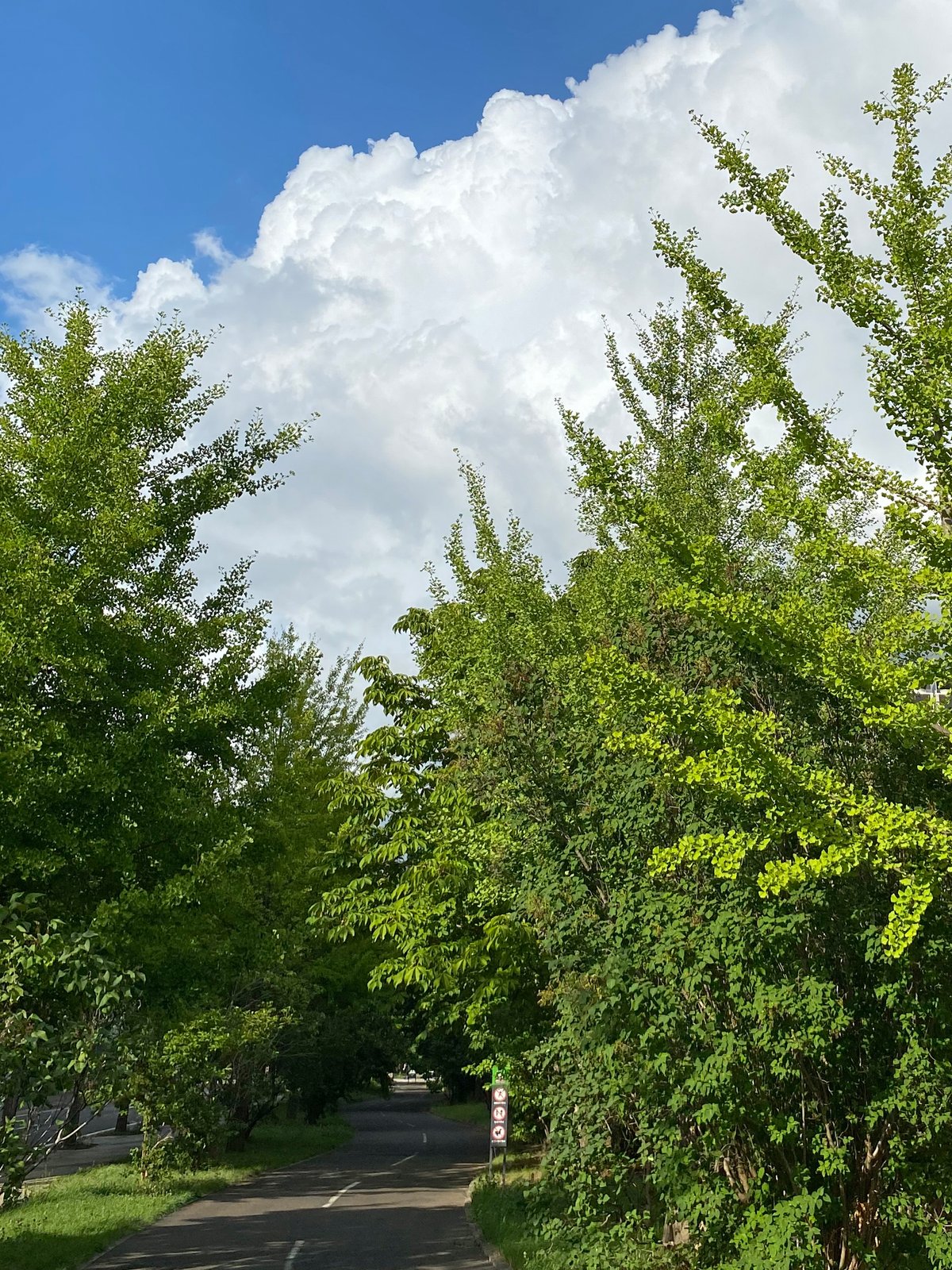 今日の夏空 250802｜まさ / Atelier Masa