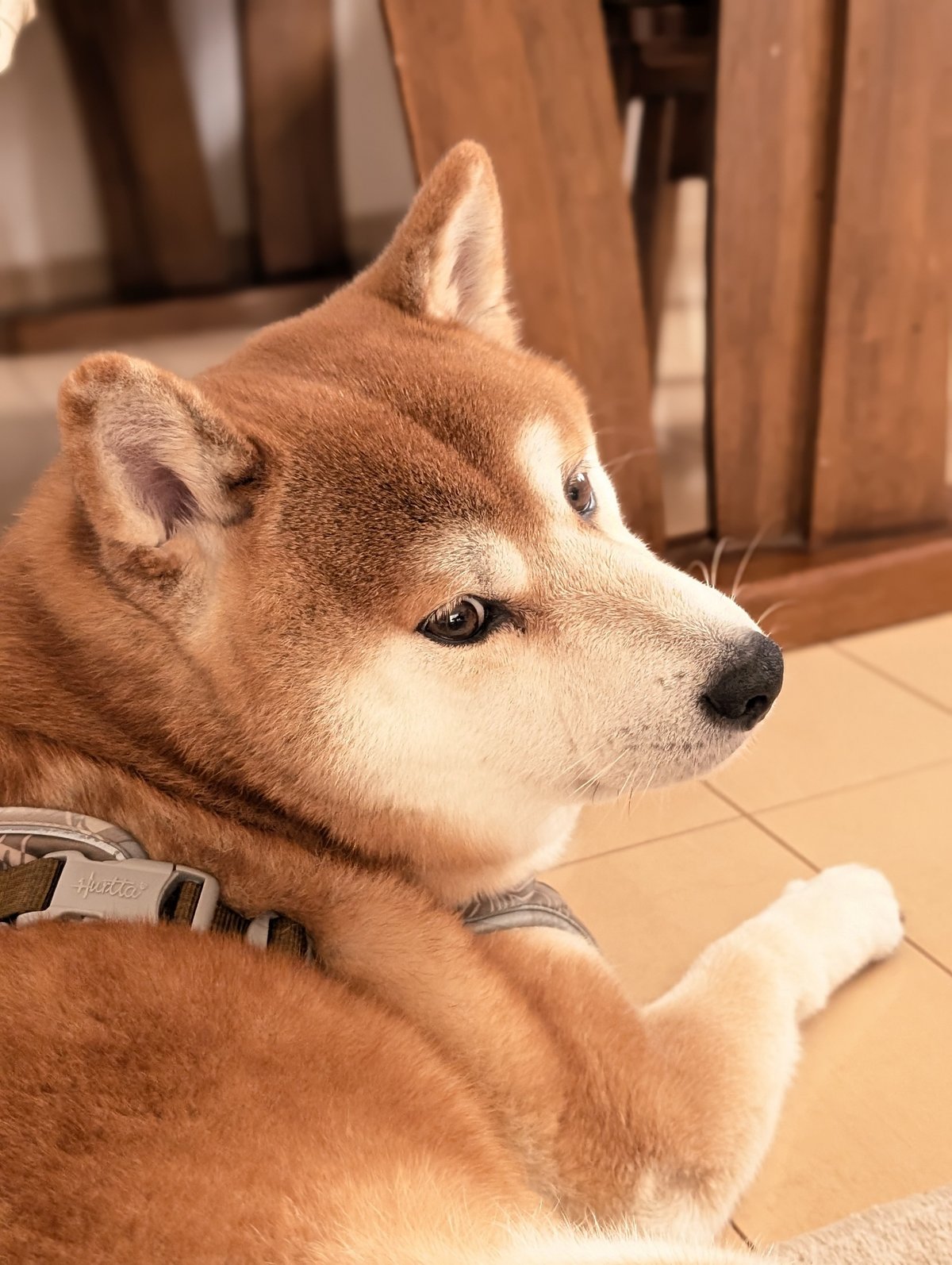 ギャップ萌え｜Akihiko Oosugi