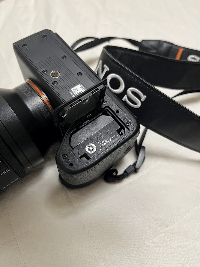 【野鳥】8月2日 探鳥 富士山奥庭 2025-9｜Chacoder