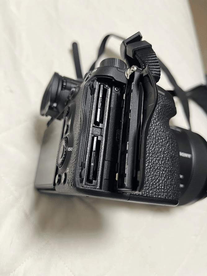 【野鳥】8月2日 探鳥 富士山奥庭 2025-9｜Chacoder