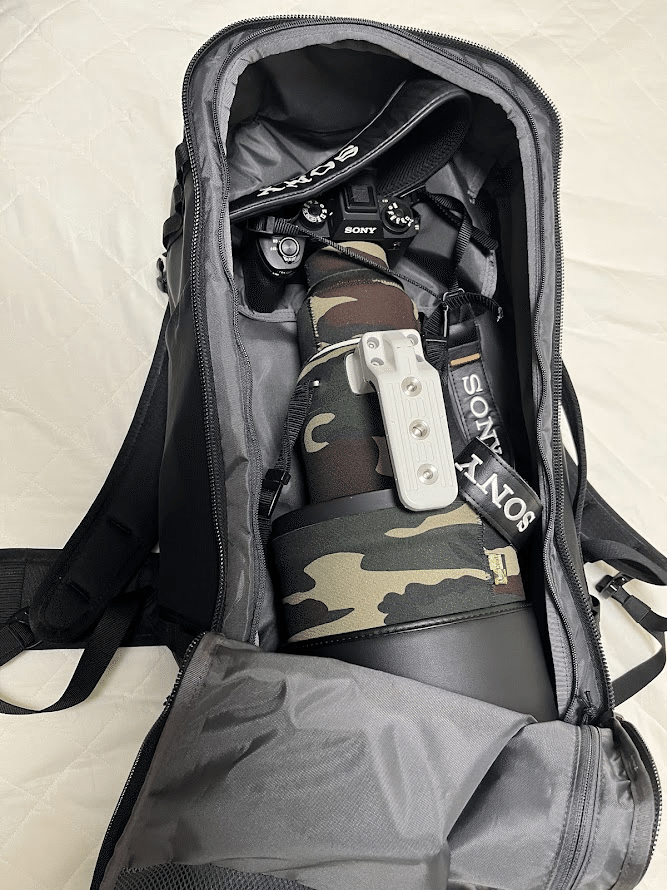 【野鳥】8月2日 探鳥 富士山奥庭 2025-9｜Chacoder