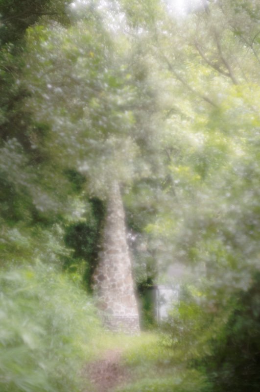 A summer excursion / 2025.07.18｜tsuyoshi.m