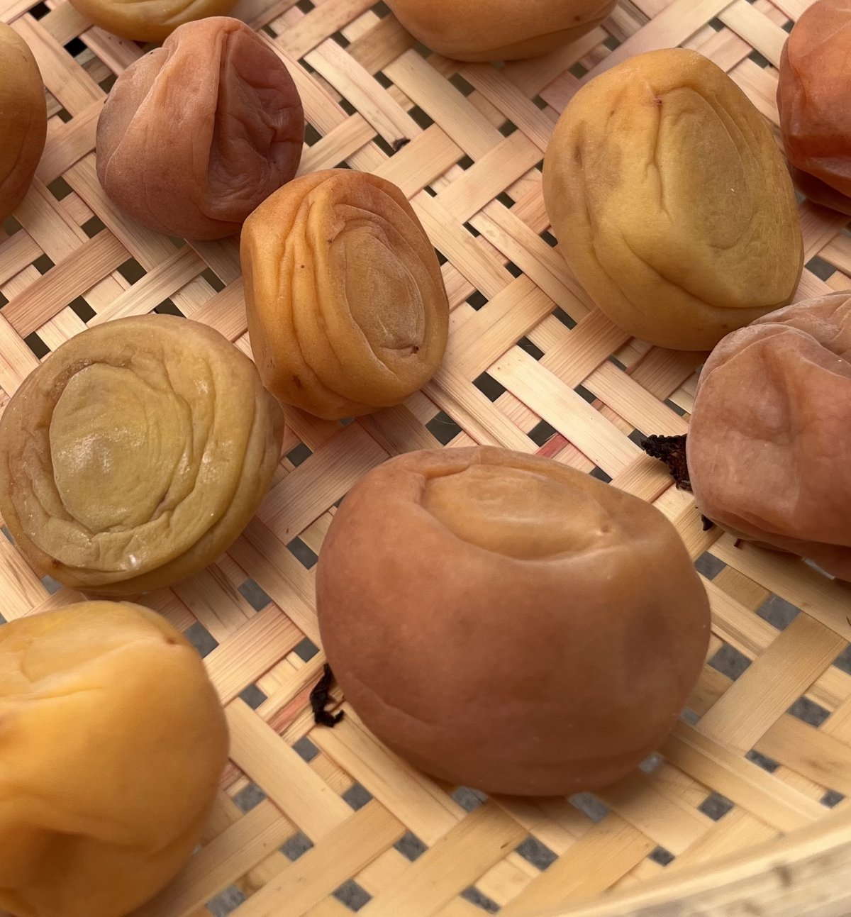 また明日から。｜kanon