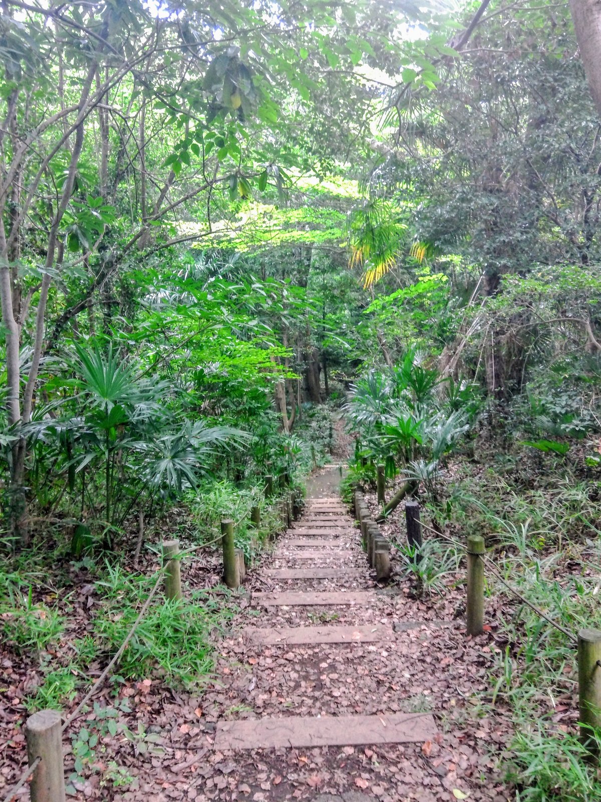 江戸時代の名園遺構、占春園。｜niwa_emon