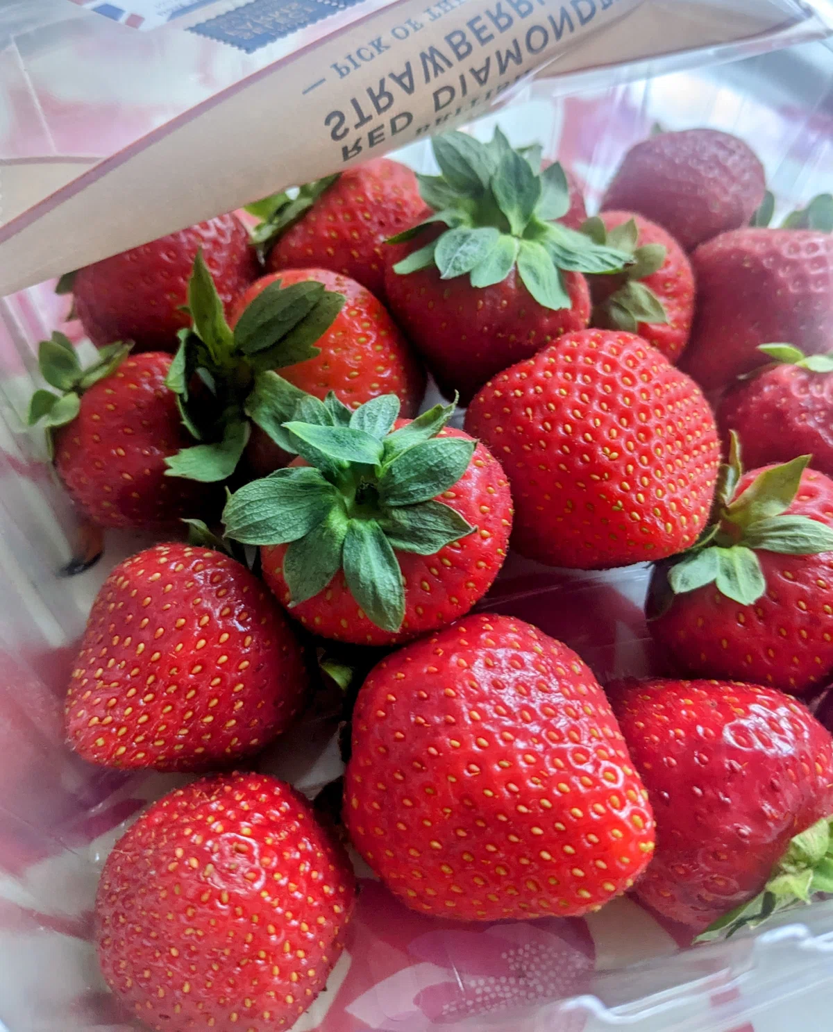 【ロンドン生活】 話題の Red Diamond™ Strawberries を食べてみた🍓 ｜f00b4r