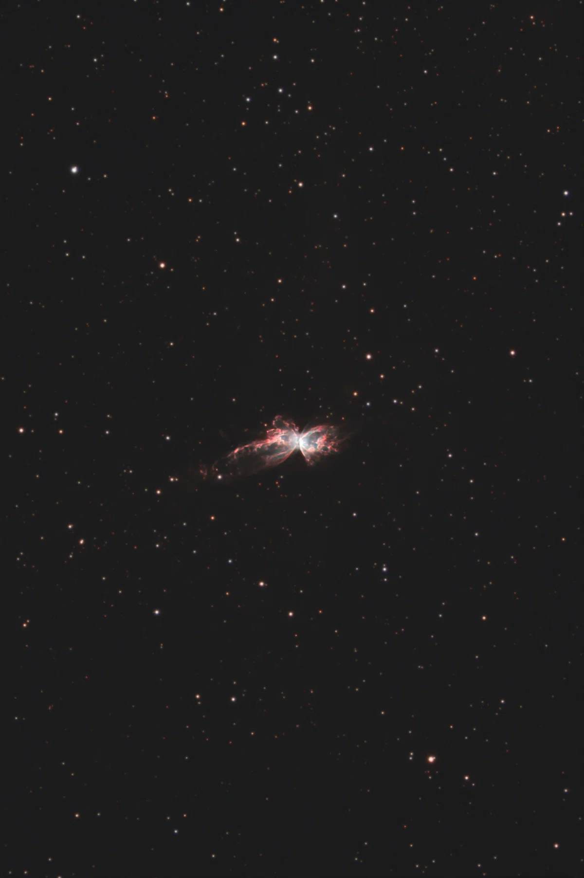 NGC 6302 - バタフライ星雲【更新】｜Joe