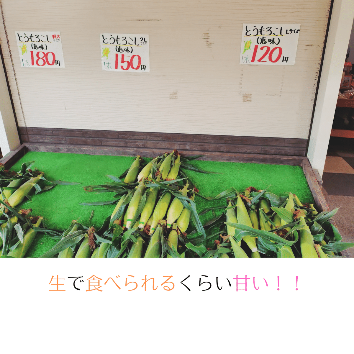 嬬恋村の直売所 鳴岩農園様｜mk_natur