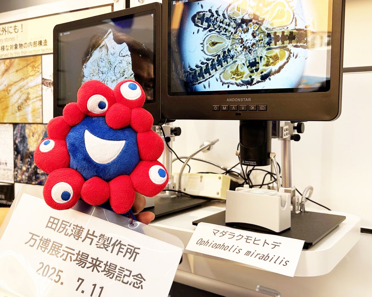 MOOV,Press編集部が2025年大阪・関西万博 MOBIO大阪パビリオン展示「No/BORdER」のゲンバをレポートします！｜MOBIO（ものづくりビジネスセンター大阪）公式note