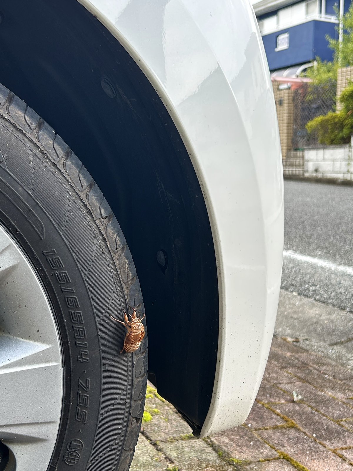 「光でスケッチ」 なにしてんねっ！｜Rabi Sato