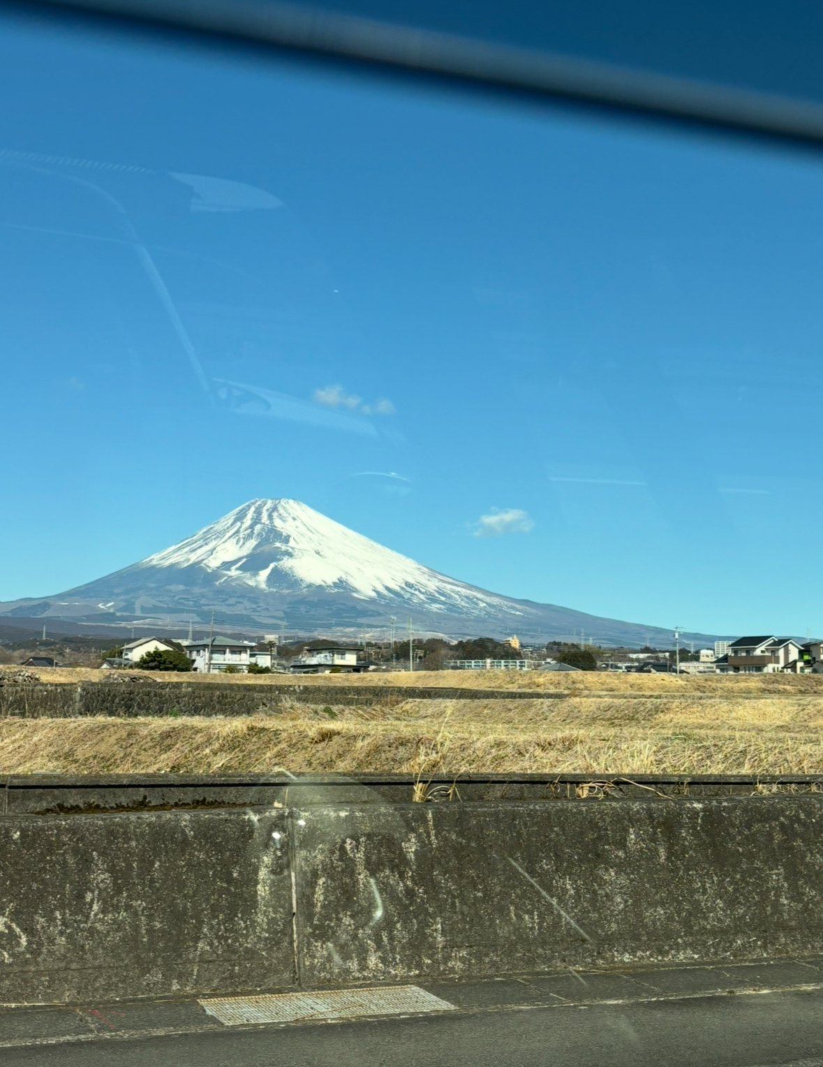 【三島生活】移住後の夫の変化ー 才若返った！？ー｜yocco（よっこ）