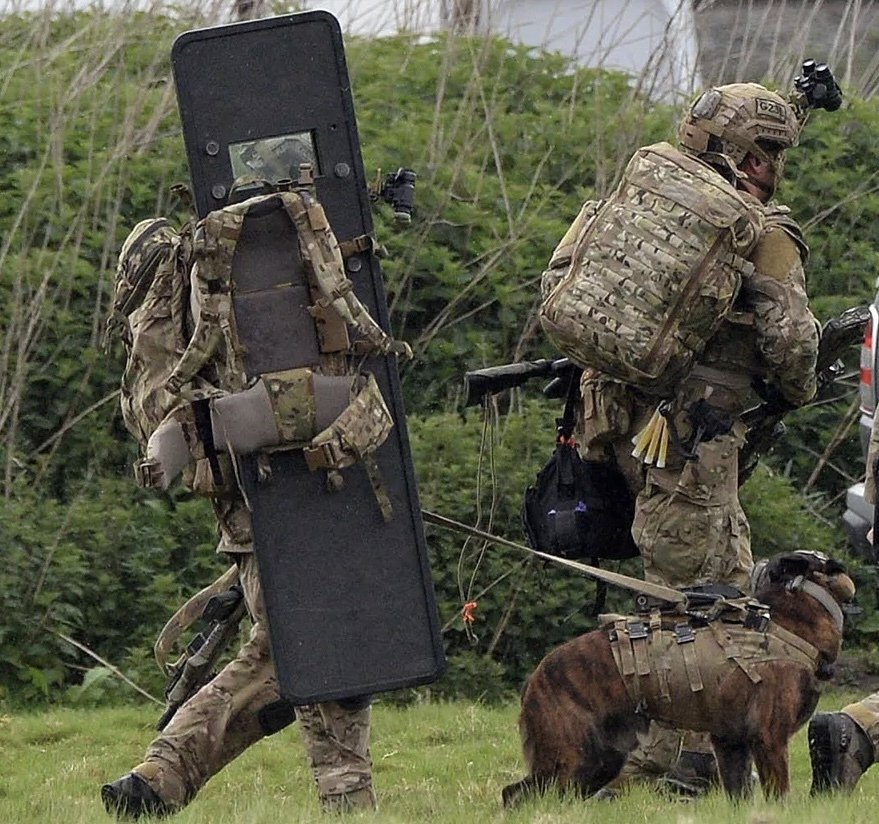 UKSFで使用されているNVGについて｜Sky