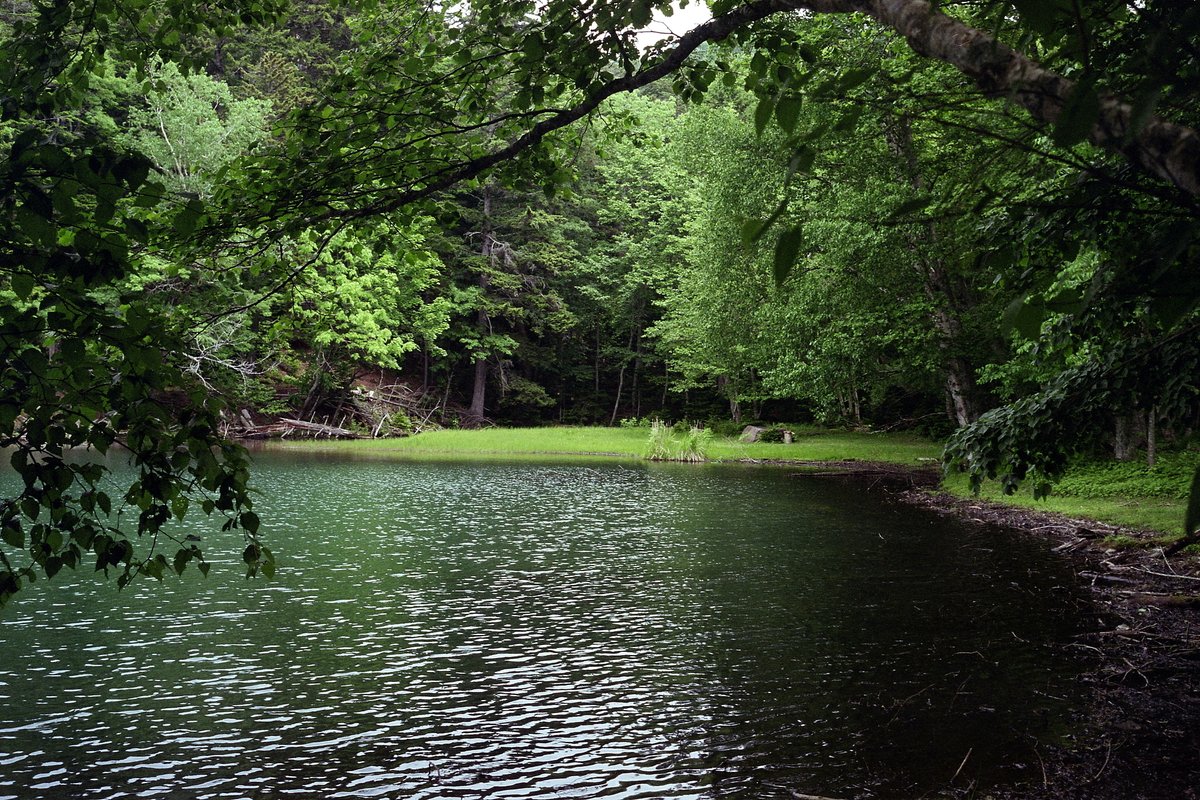 25年6月 オンネトー～釧路へ ニコンSP｜robert_oku