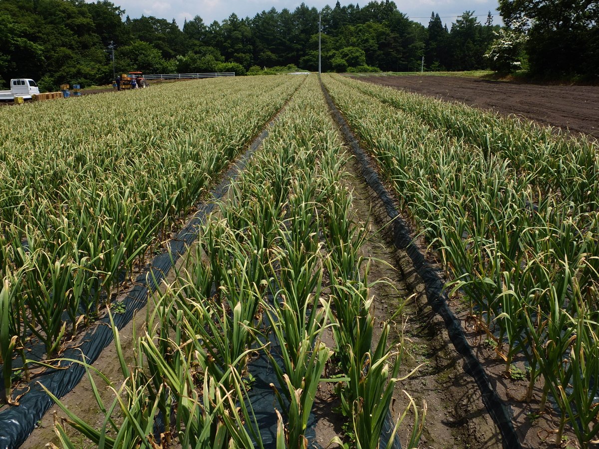 「美しいと思う心」とは知識によって湧き起る｜江六前一郎｜Ichiro Erokumae｜Food HEROes代表