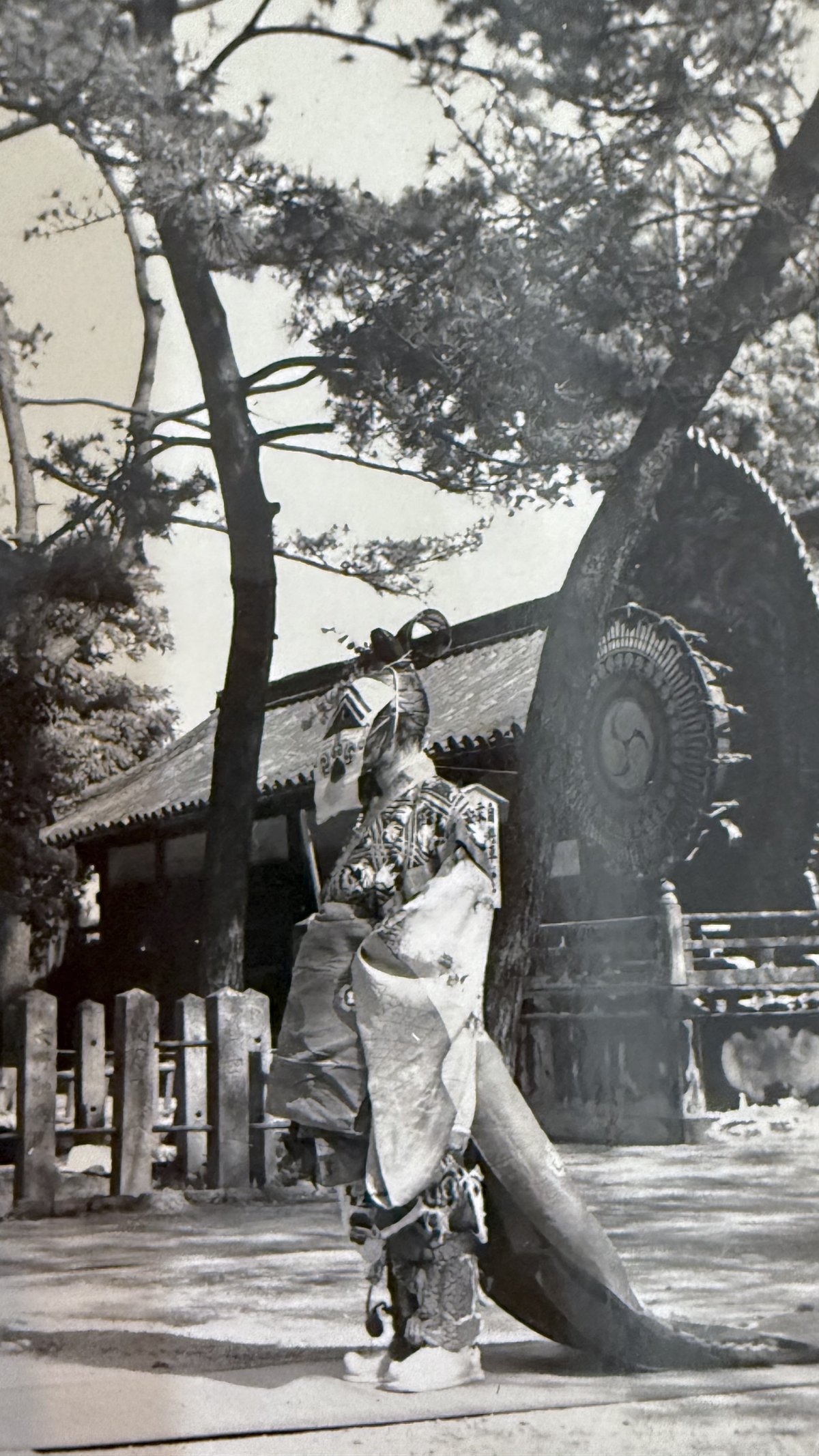 写真の中に｜Chie_Matsui