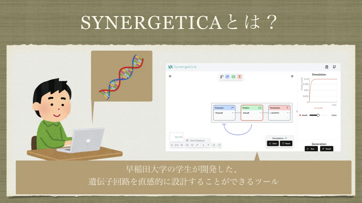 誰でも簡単に遺伝子回路の設計ができるツール「Synergetica」を使ってみた！｜バイオエンジニア・シノダ