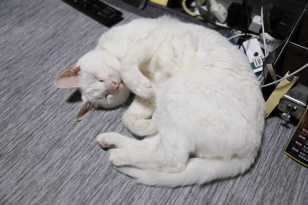 アナログレコードプレイヤーのメンテとハイレゾ化のその後。Esoteric N05-XDを導入！｜Ryo/The Shine Light ...