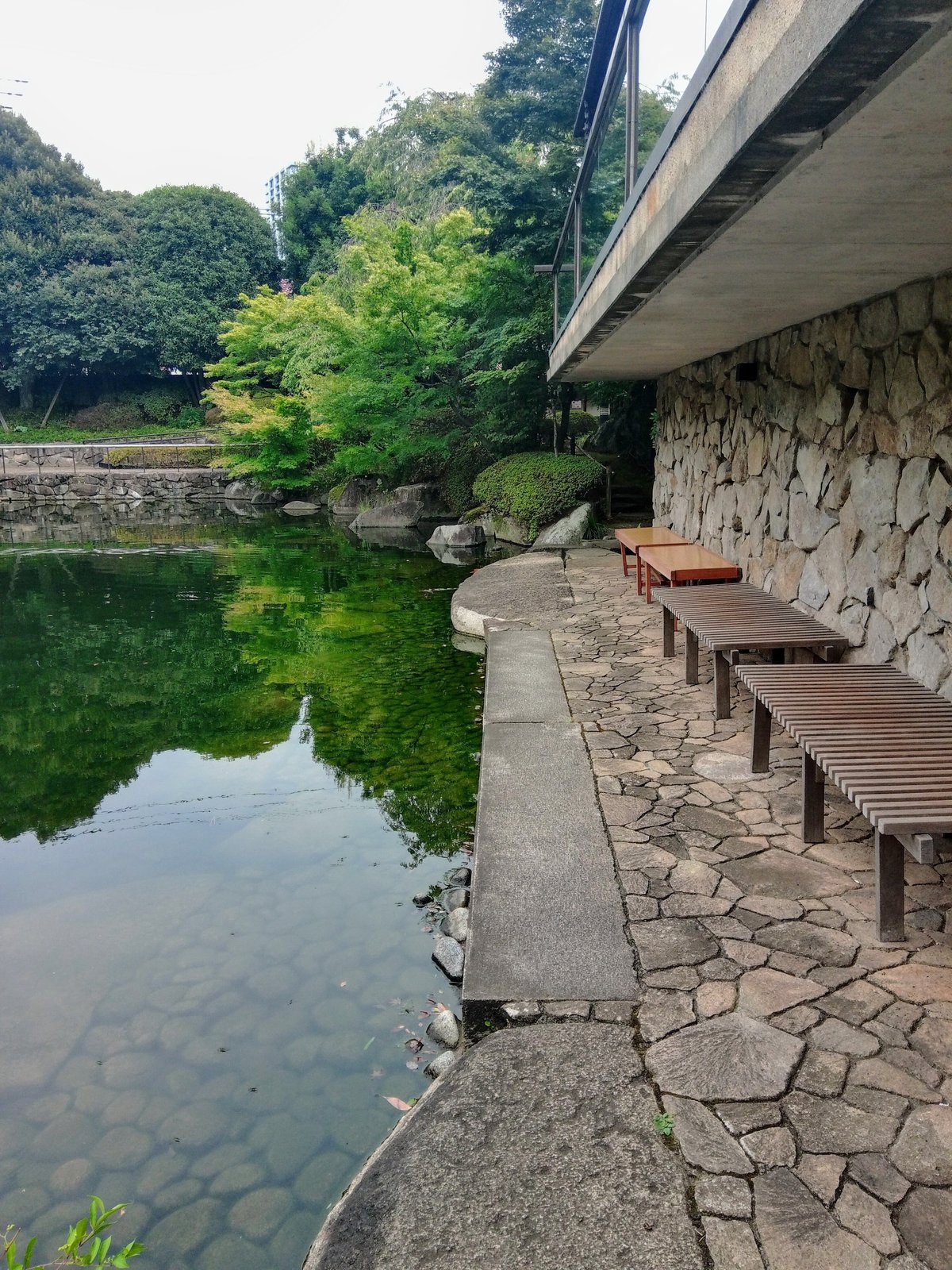 山手線目白駅から歩いてすぐ。住宅地に現れる目白庭園。｜niwa_emon