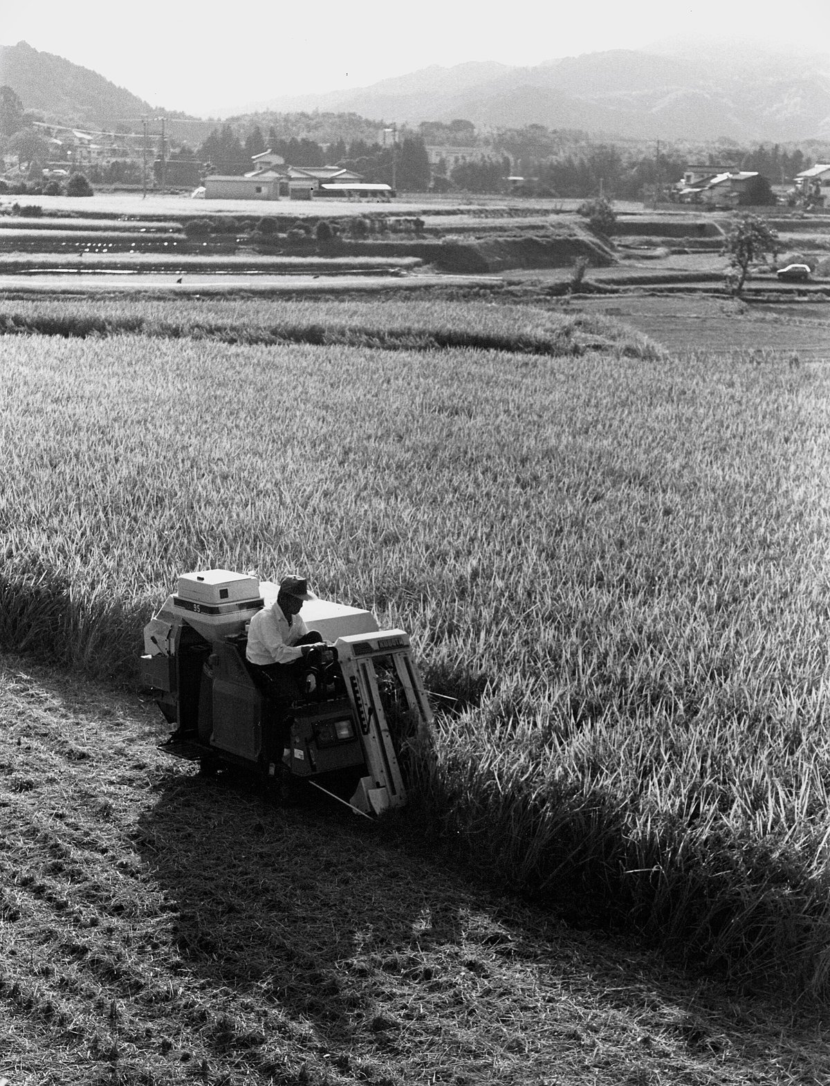 「光でスケッチ」 Wish｜Rabi Sato