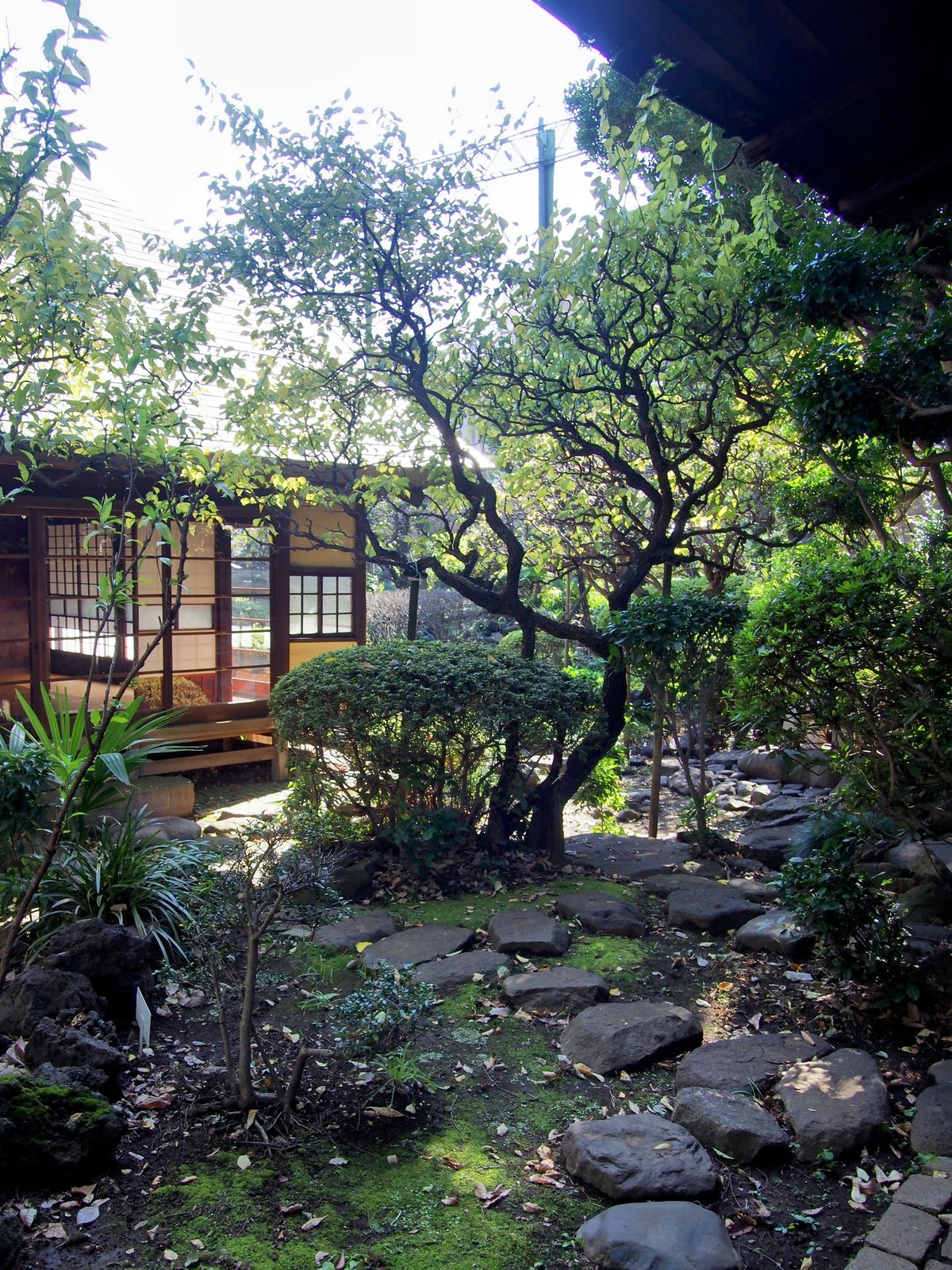 23区内に残る江戸時代後期の古民家の庭、宮野古民家自然園。｜niwa_emon