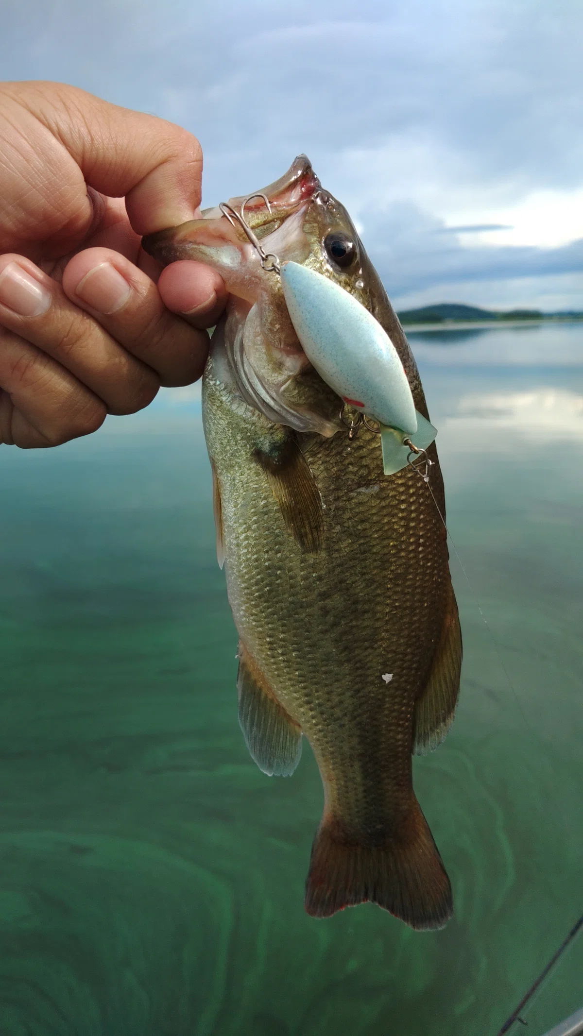 Fishing trip to HACHIRO-GATA｜stumpmaster