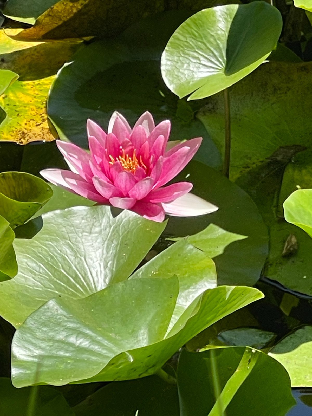 北海道2日目｜akeminsu☆