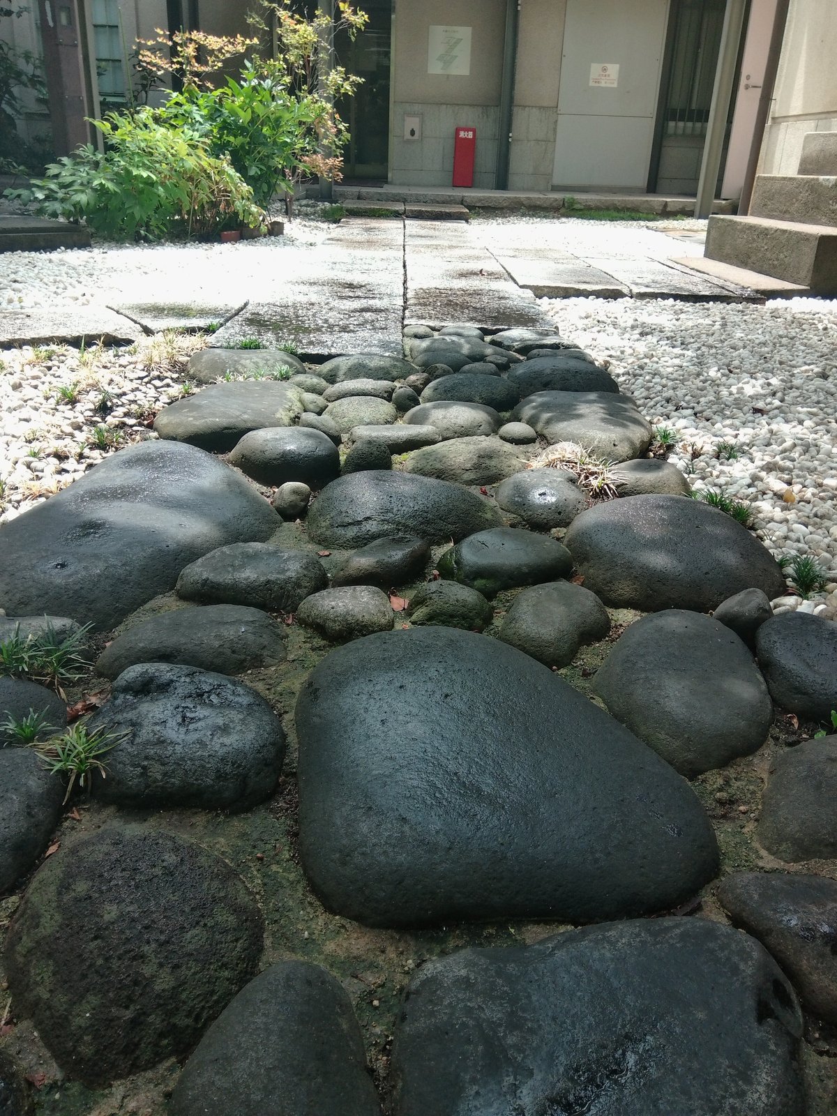 雨上がりが似合う。台東区立書道博物館の庭。｜niwa_emon