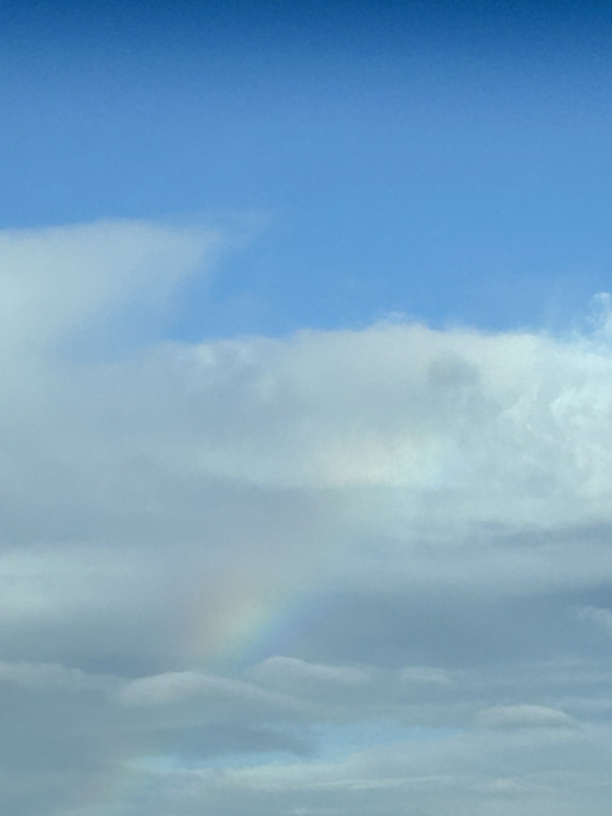 8月12日。｜美宝れいこ:パラレルキャリア専門家(Miho Reiko)