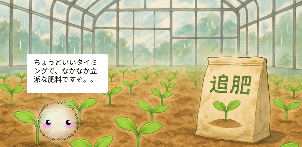 0001/01/04｜CodeyNode