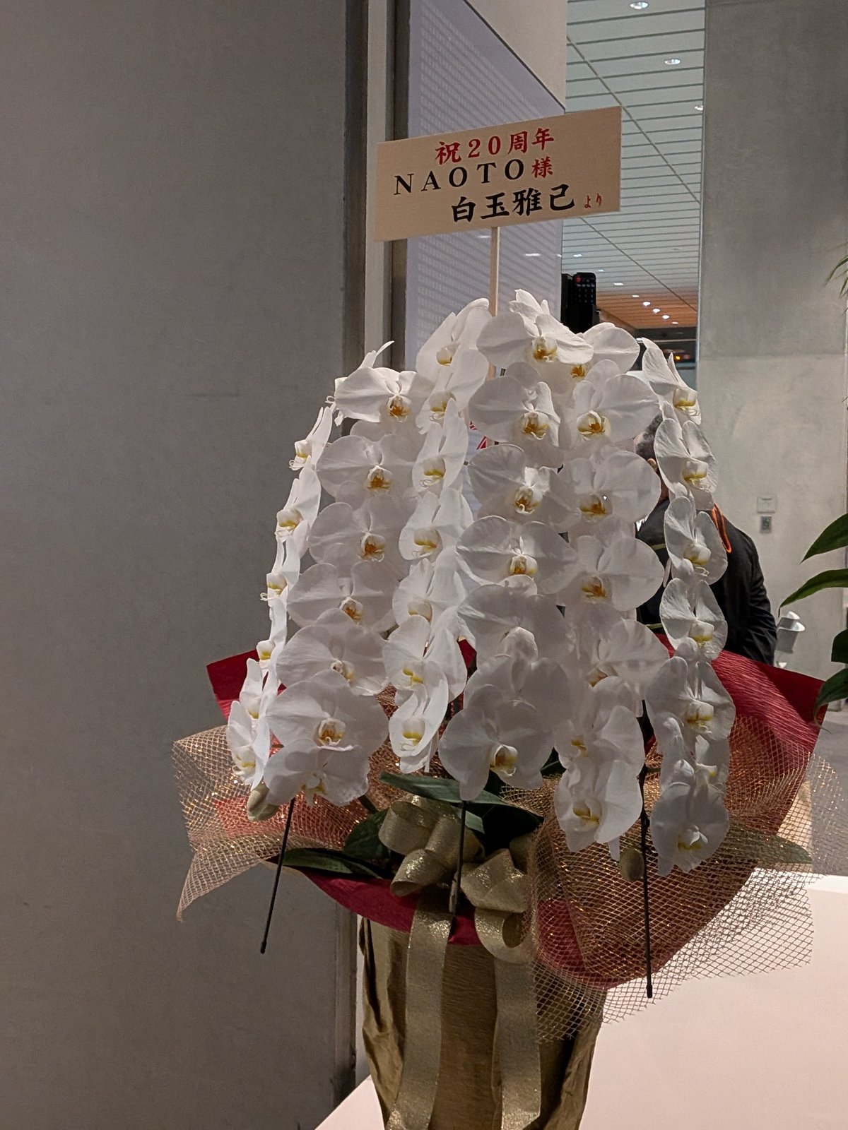 NAOTOさんライブレポ｜∠ラビラビ