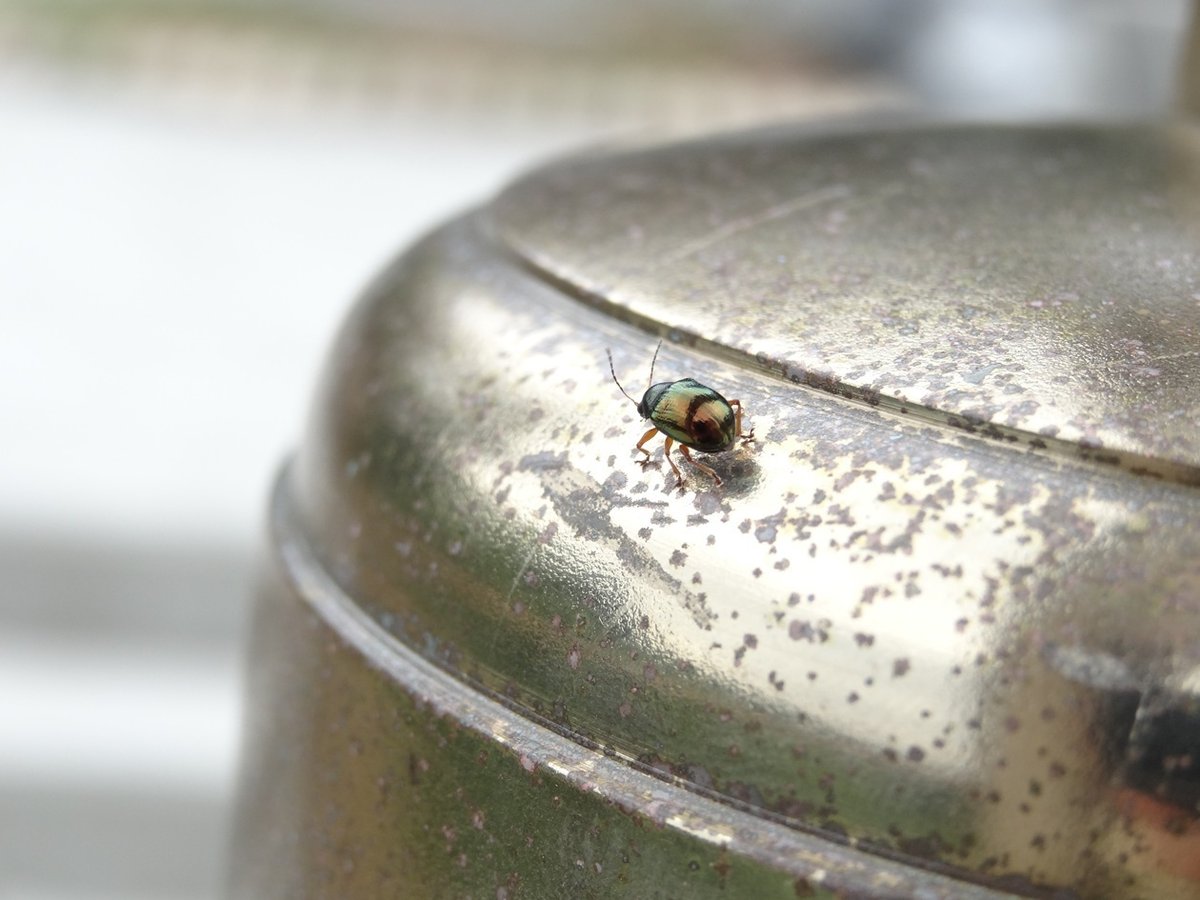 陸奥1,238kmの旅 | 憧れの三陸道へ｜Manuoku