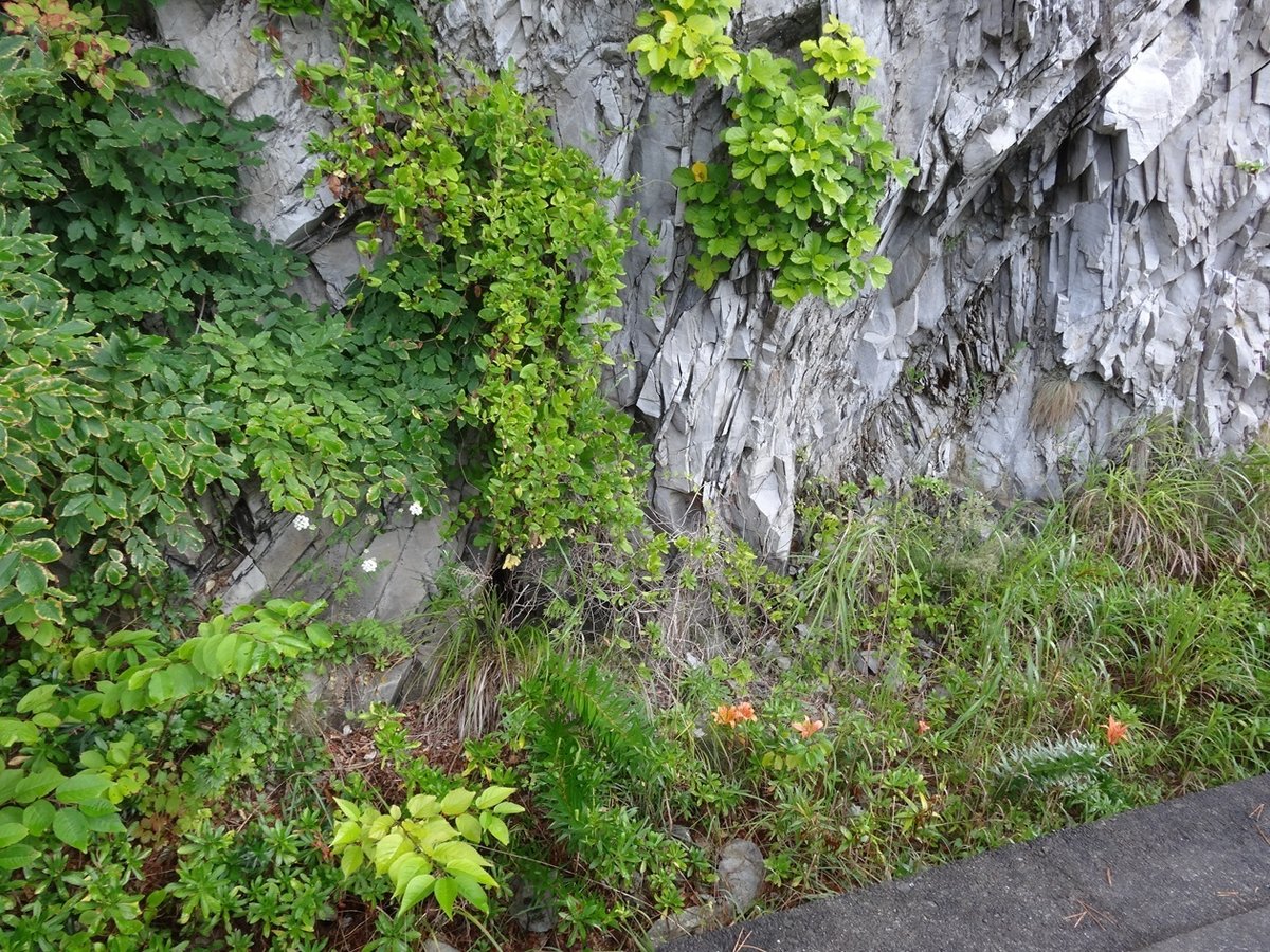 陸奥1,238kmの旅 | 憧れの三陸道へ｜Manuoku