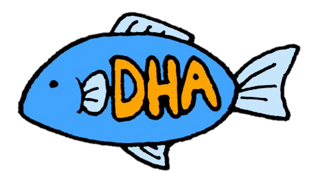 This Week's Thumbnail (August 16th) and a Review of Video Editing｜長谷川 ...