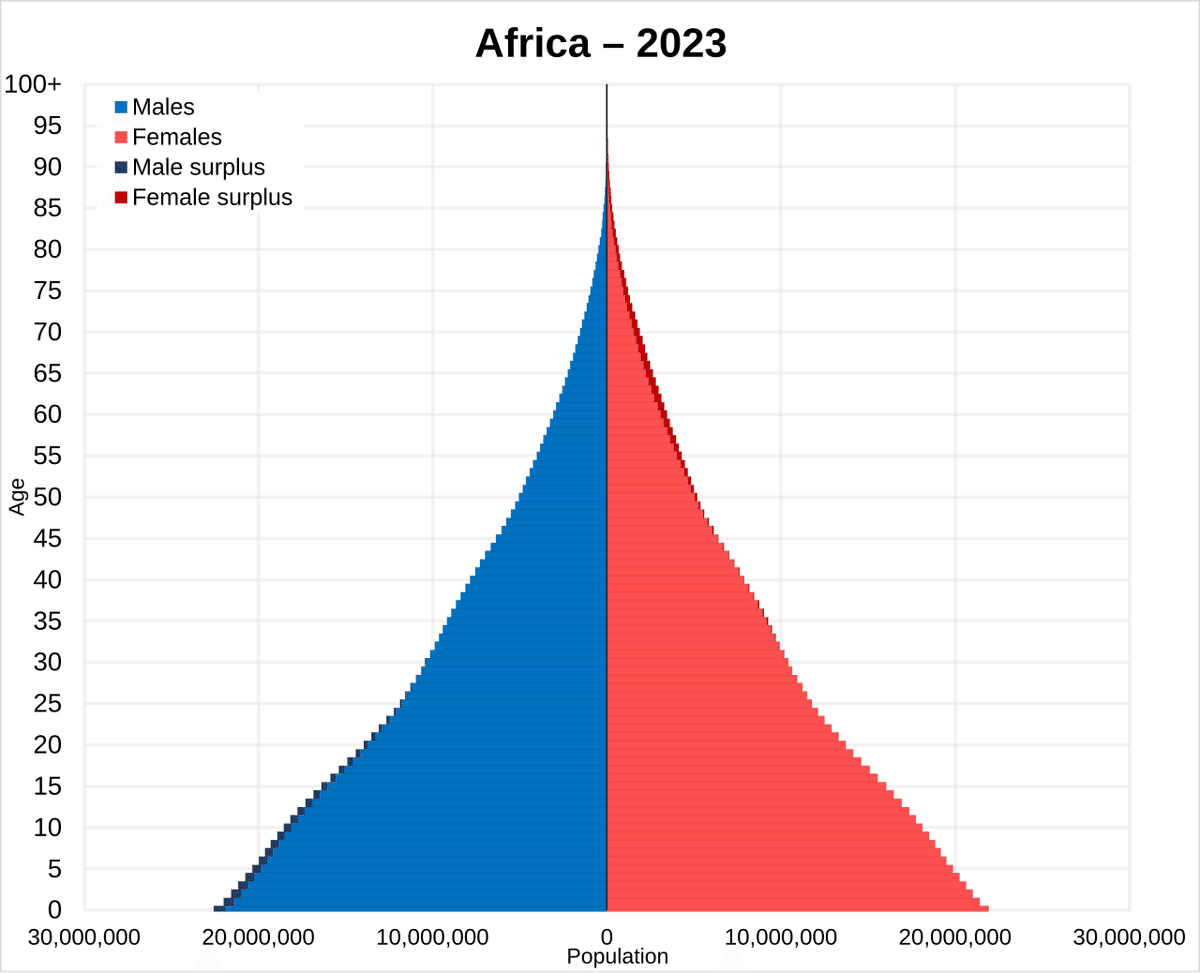 世界と日本の戦略から見える“アフリカの未来”｜キギョケン 世界の企業研究