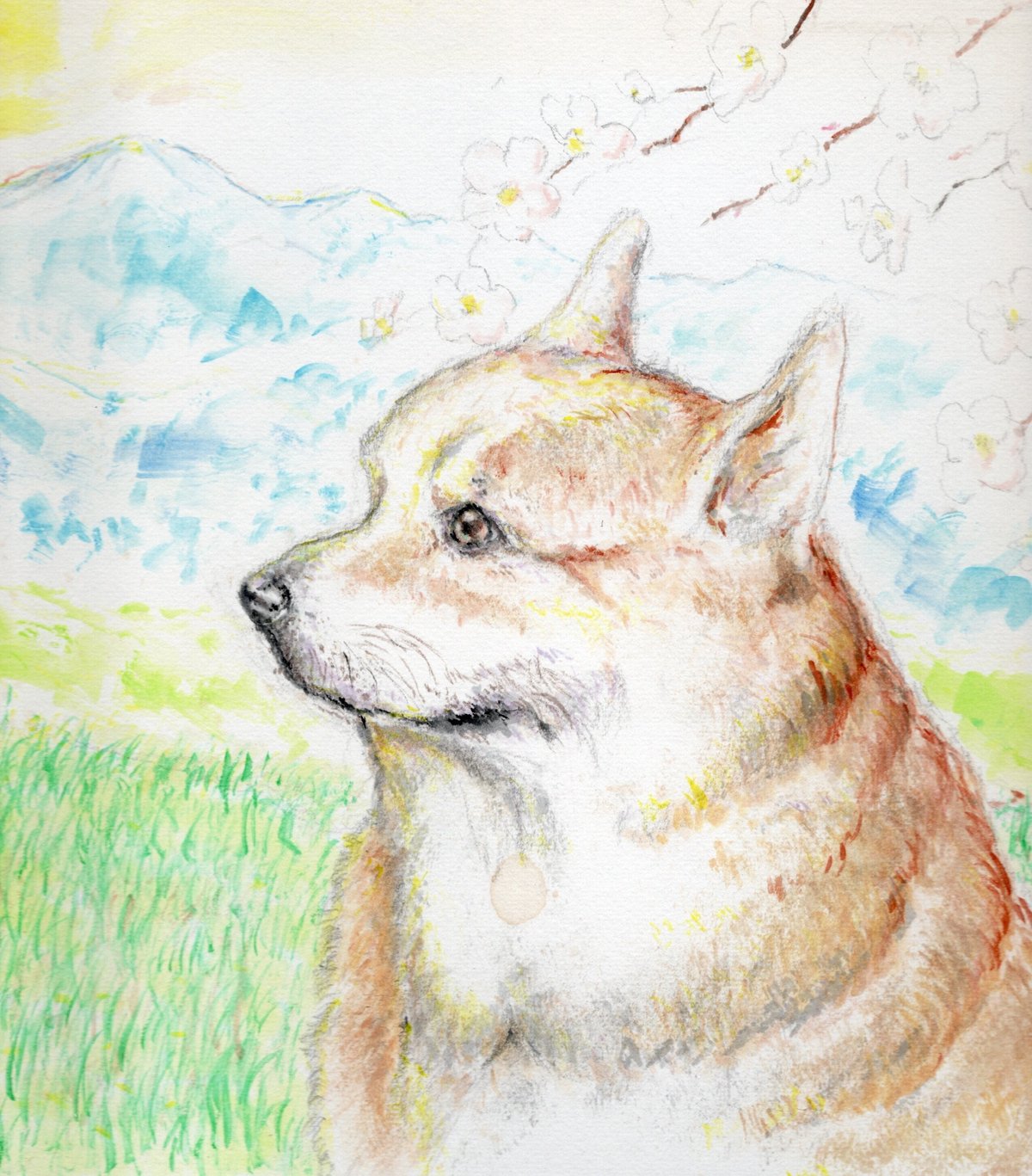 【水彩絵具と色鉛筆】わんちゃんの絵を描いてみた！｜Atelier Non