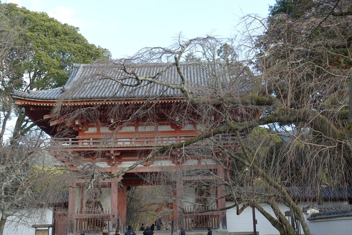 王城をゆく chapter2-5 醍醐寺(the final）｜seiyuuudoku 無名人 晴遊雨読