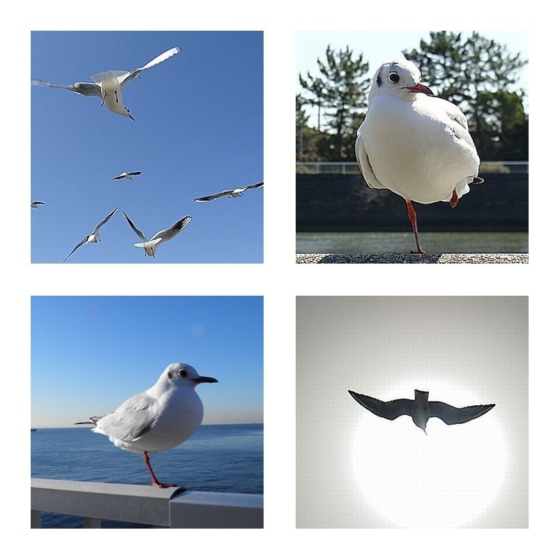 好きなものとの出会い｜西尾征紀 （Nishio Masanori）