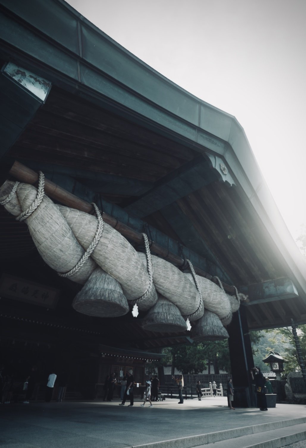 【レビュー】α7cⅱの最適解を見つけた!神フィルター📸｜ichi_graphy