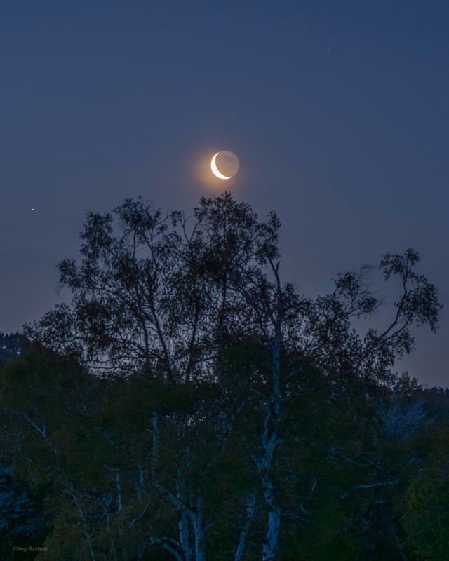星空写真における“月明かり”｜Negi Asatsuki